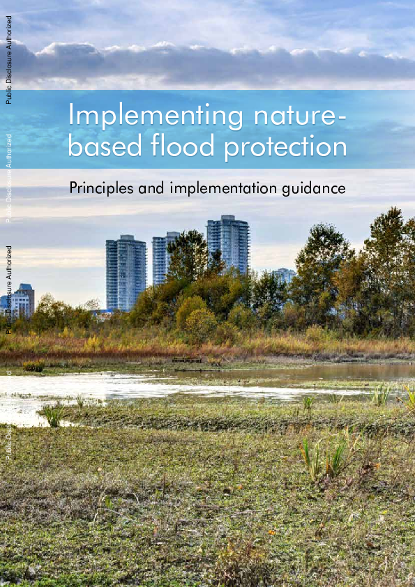 (PDF) Implementing nature based flood protection : principles and ...