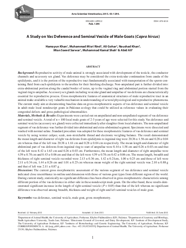 (PDF) A study on vas deference and seminal vesicle of male goats (Capra ...