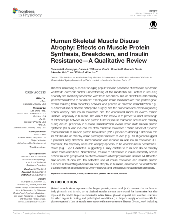 (PDF) Human Skeletal Muscle Disuse Atrophy: Effects on Muscle Protein Synthesis, Breakdown, and ...