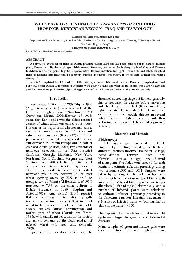 (PDF) Wheat Seed Gall Nematode Anguina Tritici in Duhok Province ...