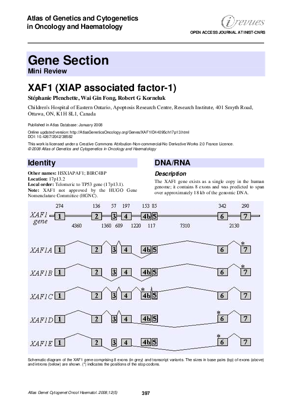 (PDF) XAF1 (XIAP associated factor-1)
