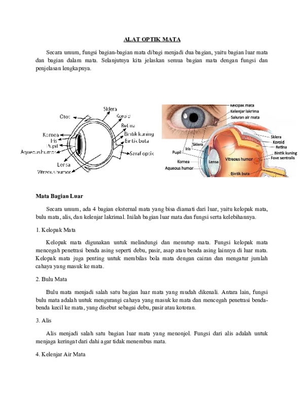 (DOC) ALAT OPTIK MATA Secara umum, fungsi bagian-bagian mata dibagi ...