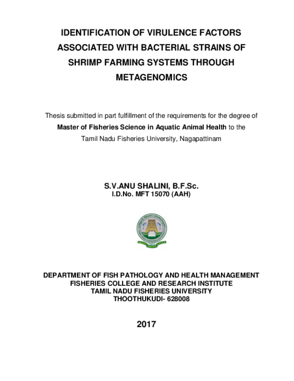 (PDF) Final Thesis Word