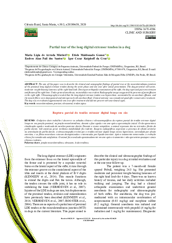 (PDF) Partial tear of the long digital extensor tendon in a dog