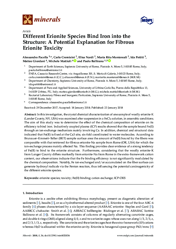 (PDF) Different Erionite Species Bind Iron into the Structure: A ...
