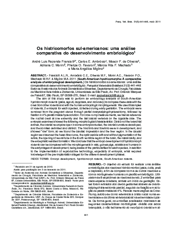 (PDF) South-American hystricomorphs: A comparative analysis of ...