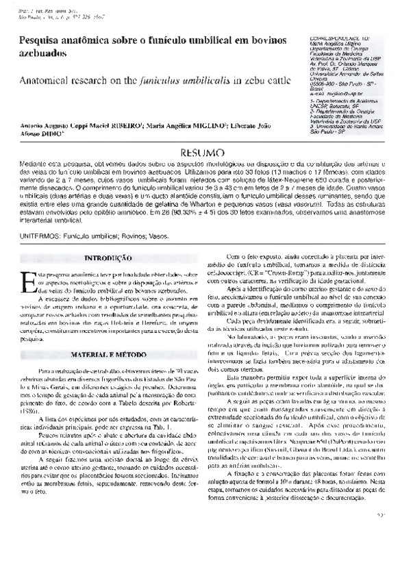 (PDF) Pesquisa anatômica sobre o funículo umbilical em bovinos azebuados