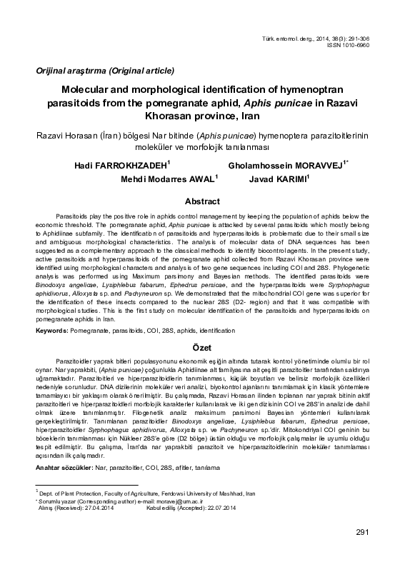 (PDF) Molecular and morphological identification of hymenoptran ...