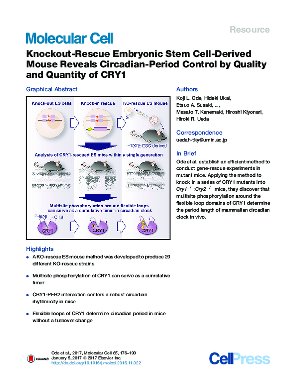 (PDF) Resource Knockout-Rescue Embryo nic Stem Cell-Derived Mouse ...