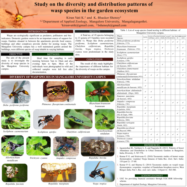 (PDF) Study on the diversity and distribution patterns of wasp species ...