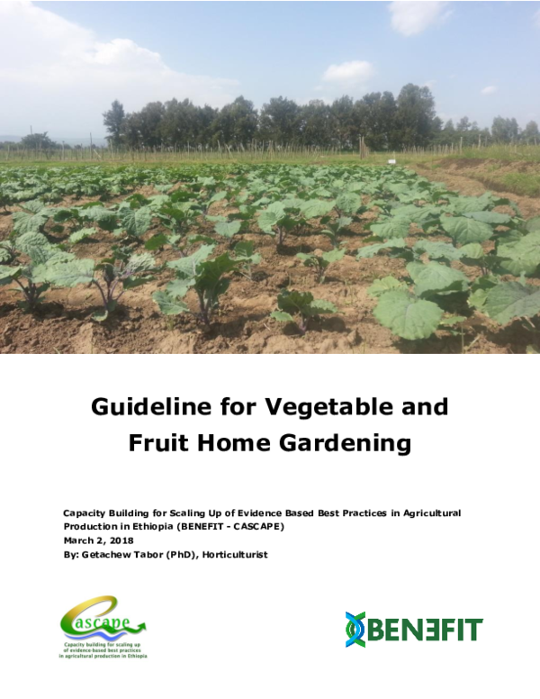 (PDF) Guideline Vegetable Fruits Production CASCAPE