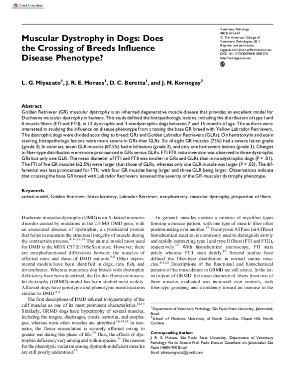 (PDF) Muscular Dystrophy in Dogs