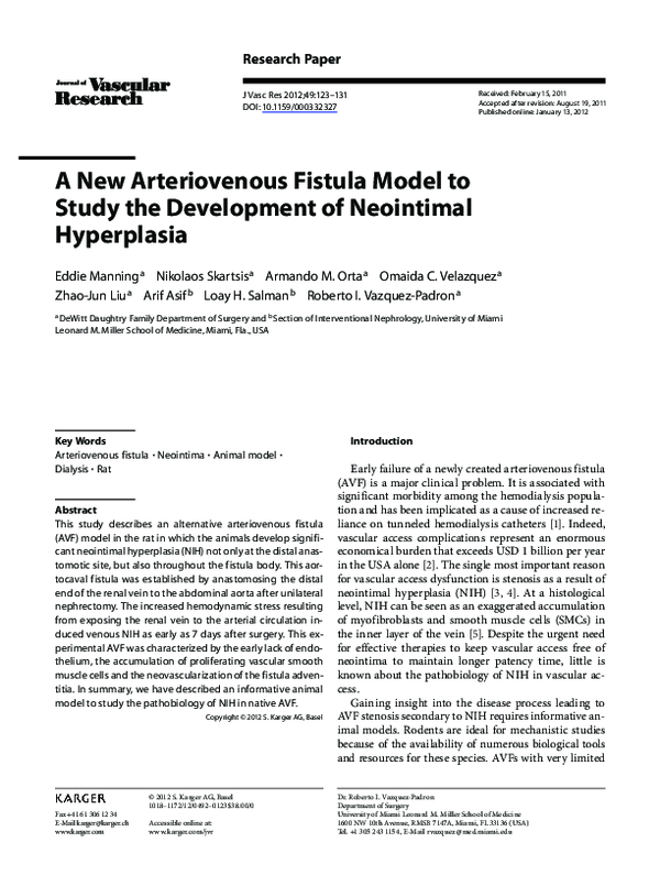 (PDF) A new arteriovenous fistula model to study the development of ...