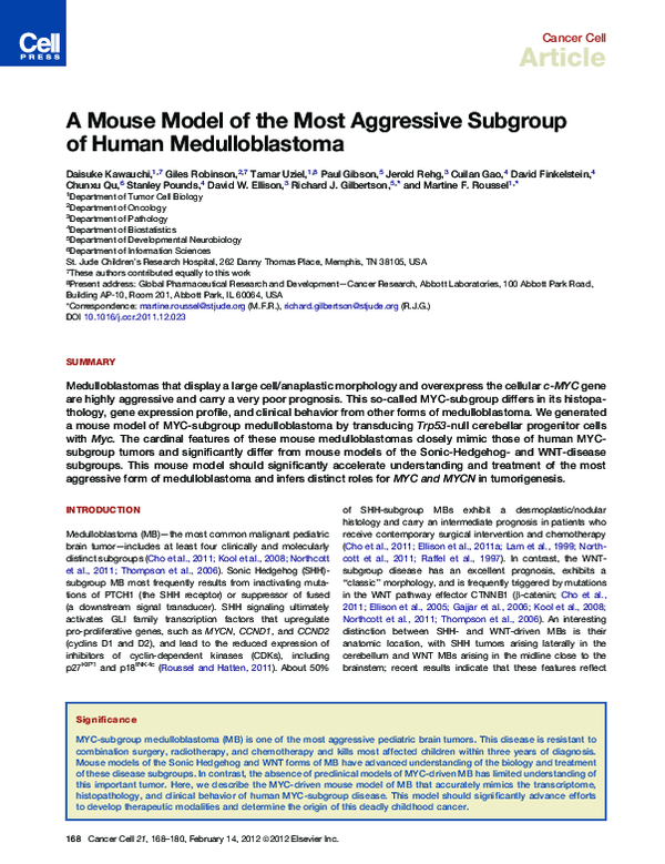 (PDF) A Mouse Model of the Most Aggressive Subgroup of Human ...