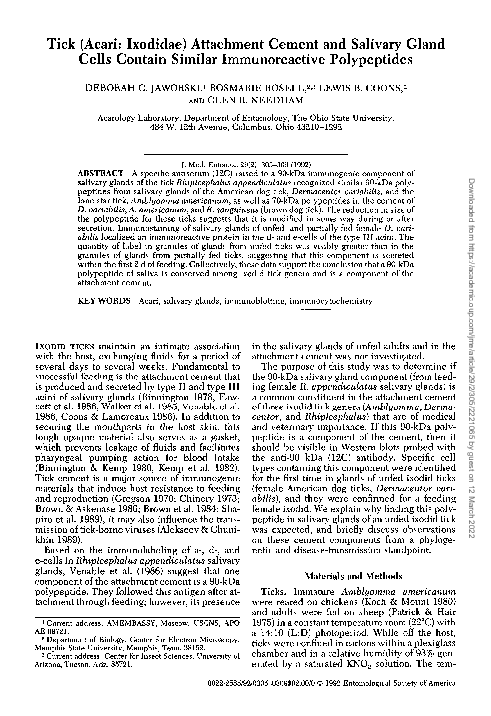 (PDF) Tick (Acari: Ixodidae) attachment cement and salivary gland cells ...