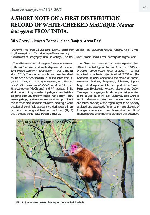 (PDF) A SHORT NOTE ON A FIRST DISTRIBUTION RECORD OF WHITE-CHEEKED ...