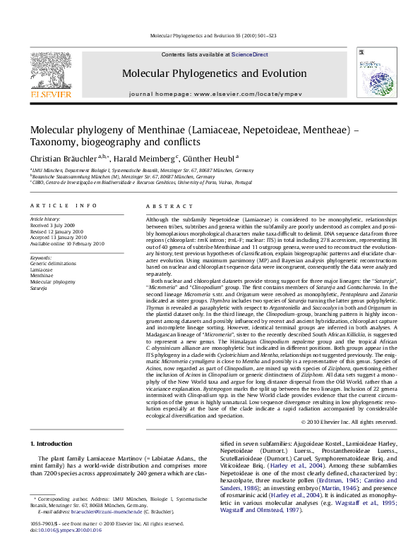 (PDF) Molecular phylogeny of Menthinae (Lamiaceae, Nepetoideae ...