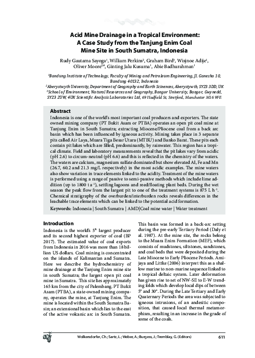 (PDF) Acid Mine Drainage in a Tropical Environment: A Case Study from ...