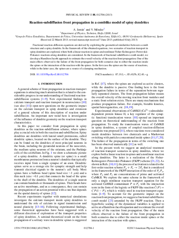 Pdf Reaction Subdiffusion Front Propagation In A Comblike Model Of Spiny Dendrites