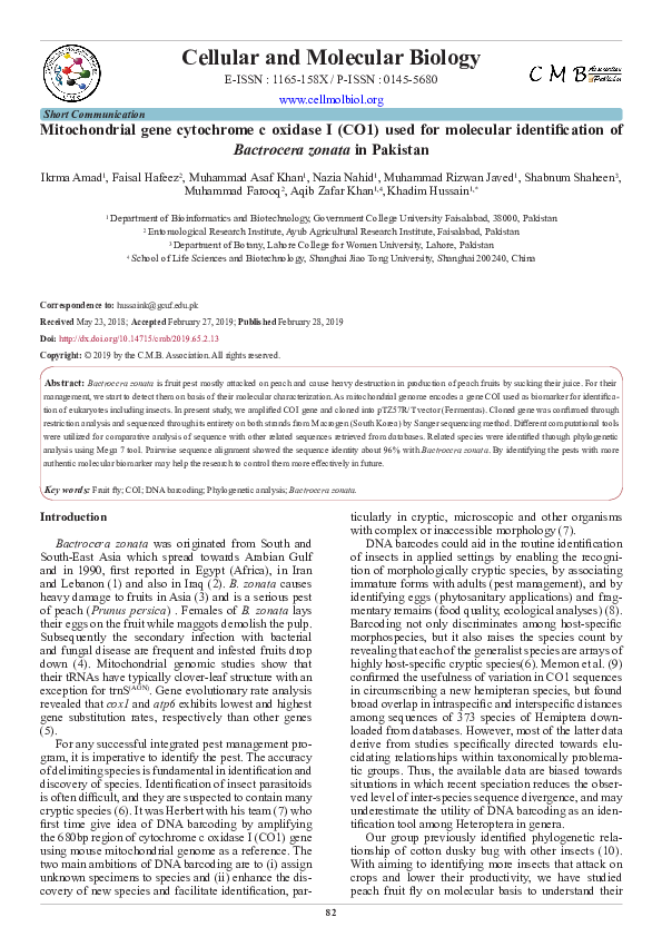 (PDF) Mitochondrial gene cytochrome c oxidase I (CO1) used for ...