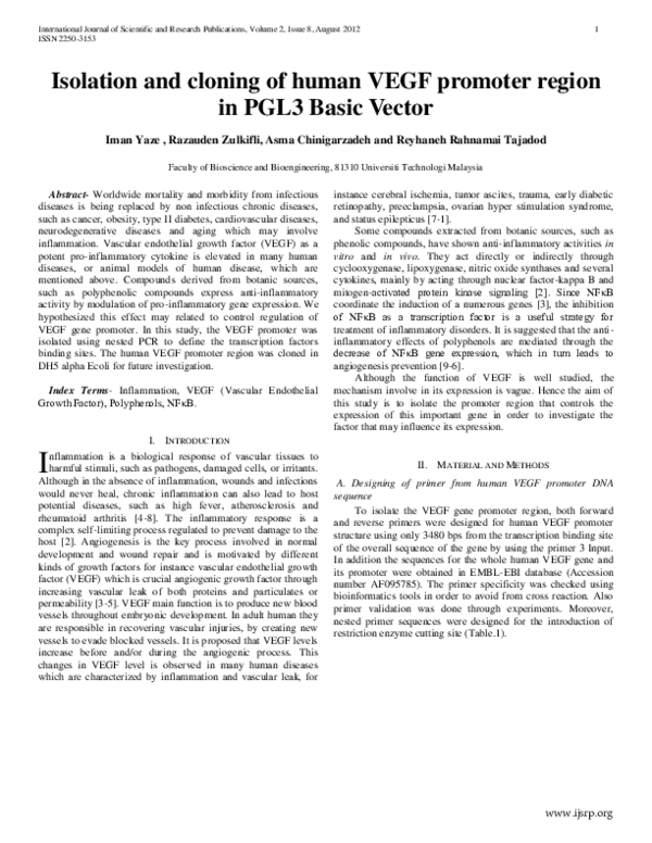 (PDF) Isolation and cloning of human VEGF promoter region in PGL3 Basic ...
