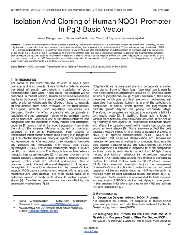 (PDF) www.ijstr.org Isolation And Cloning of Human NQO1 Promoter In ...