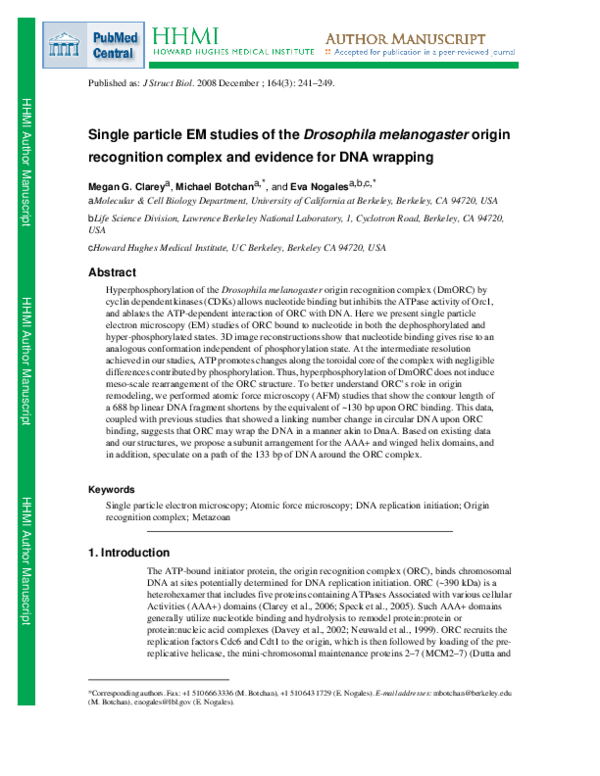 (PDF) Single particle EM studies of the Drosophila melanogaster origin ...