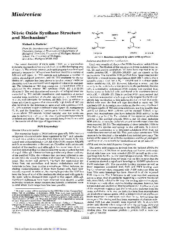 (PDF) Nitric oxide synthase structure and mechanism