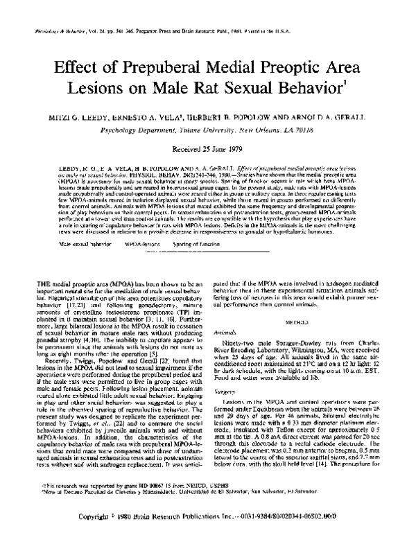 (PDF) Effect of prepuberal medial preoptic area lesions on male rat ...