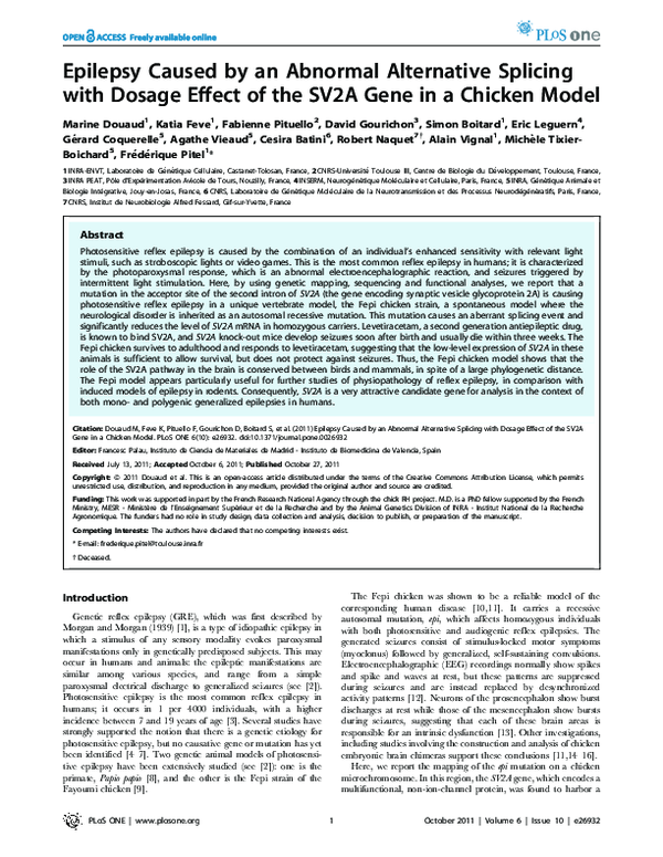 (PDF) Epilepsy Caused by an Abnormal Alternative Splicing with Dosage ...