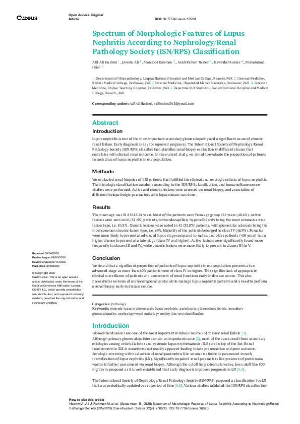 (PDF) Spectrum of Morphologic Features of Lupus Nephritis According to ...