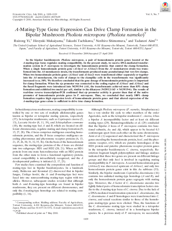 (PDF) A-Mating-Type Gene Expression Can Drive Clamp Formation in the ...