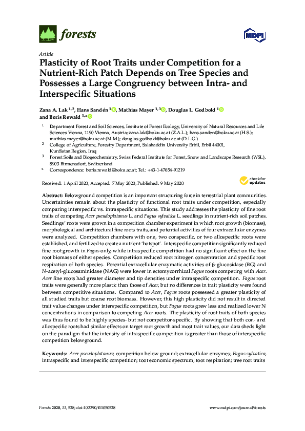 (PDF) Plasticity of Root Traits under Competition for a Nutrient-Rich ... (PDF) Plasticity of Root Traits under Competition for a Nutrient-Rich ...