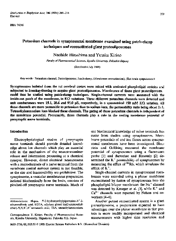 (PDF) Potassium channels in synaptosomal membrane examined using patch ...
