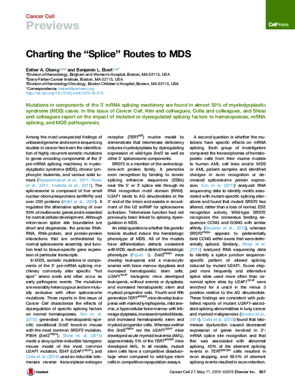 (PDF) Charting the “Splice” Routes to MDS | Esther Obeng - Academia.edu