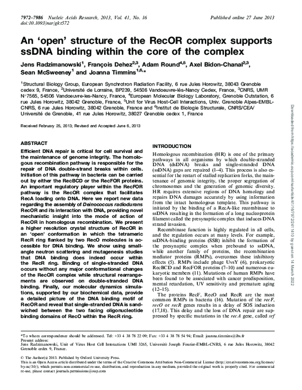 (PDF) An ’open’ structure of the RecOR complex supports ssDNA binding ...