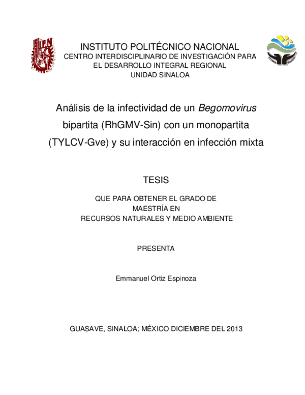 (PDF) Análisis de la infectividad de un Begomovirus bipartita (RhGMV ...