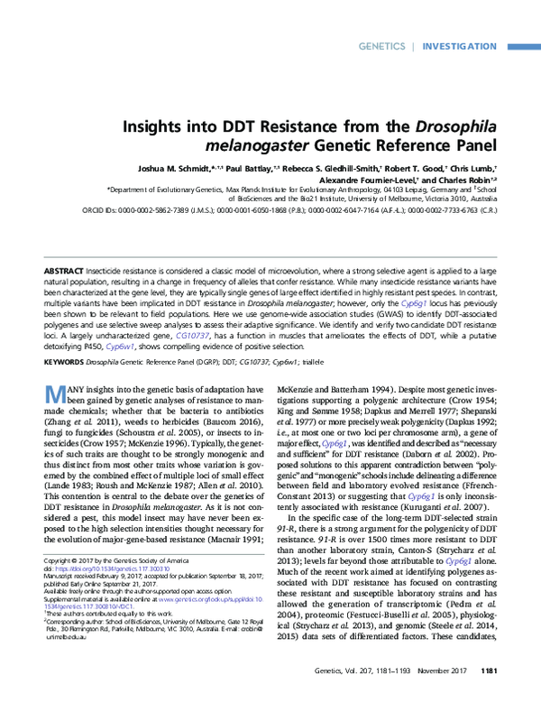(PDF) Insights into DDT Resistance from the Drosophila melanogaster ...