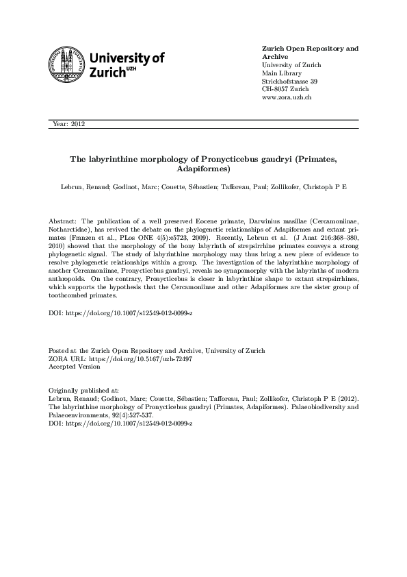 (PDF) The labyrinthine morphology of Pronycticebus gaudryi (Primates ...