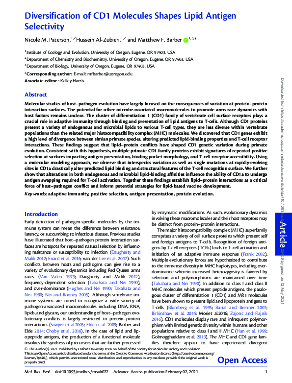 (PDF) Diversification of CD1 molecules shapes lipid antigen selectivity
