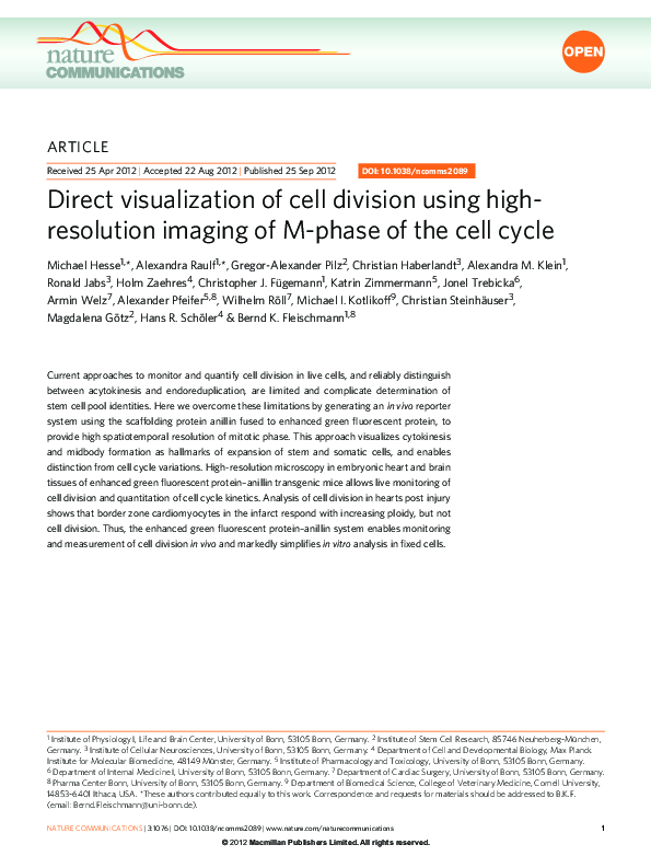 (PDF) Direct visualization of cell division using high-resolution ...