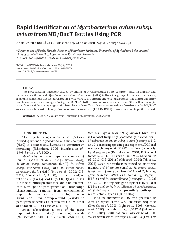 (PDF) Rapid Identification of Mycobacterium avium subsp. avium from MB ...