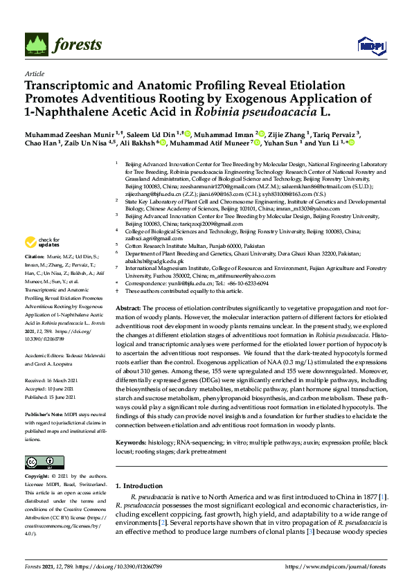 (PDF) Transcriptomic and Anatomic Profiling Reveal Etiolation Promotes ...