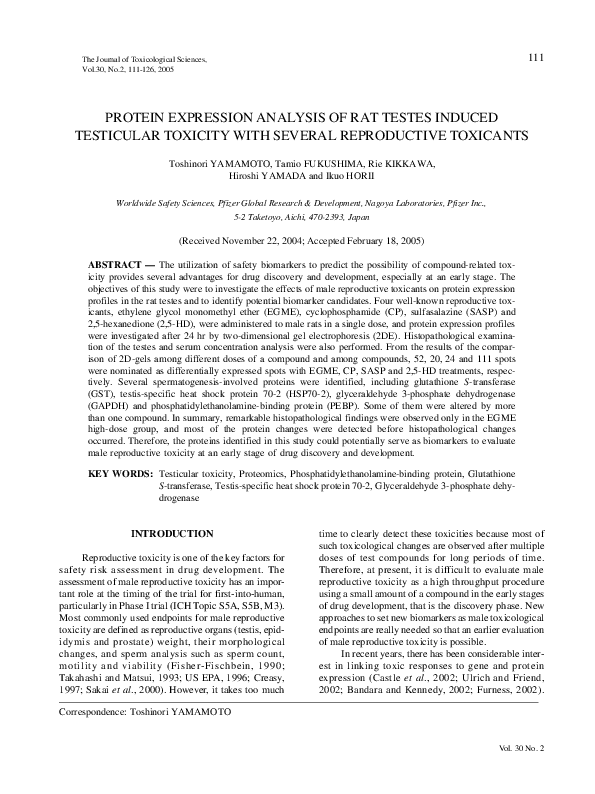 (PDF) Protein expression analysis of rat testes induced testicular ...