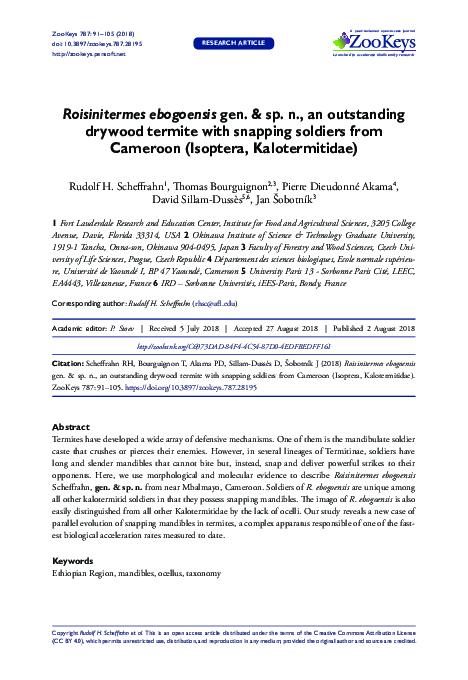 (PDF) Roisinitermes ebogoensis gen. & sp. n., an outstanding drywood ...