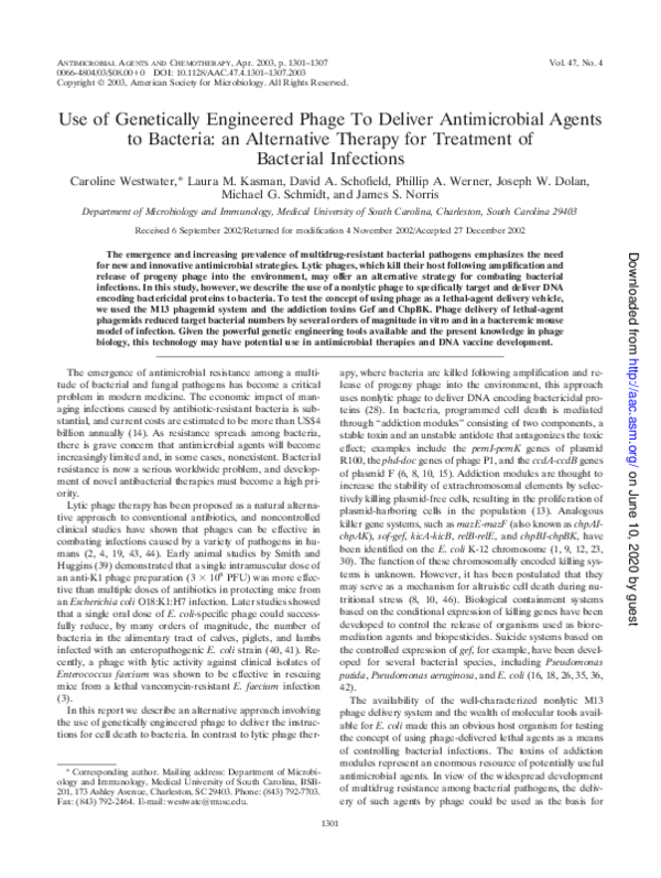 (PDF) Use of Genetically Engineered Phage To Deliver Antimicrobial ...