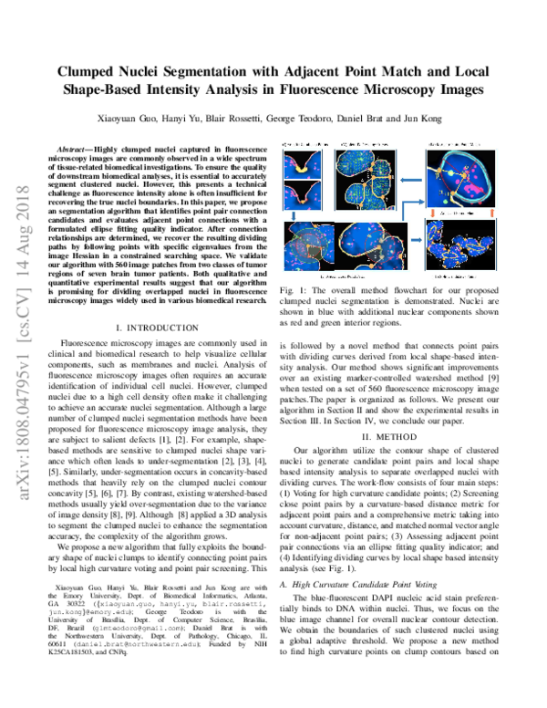 (PDF) Segmentation of Clumped Nuclei in Fluorescence Microscopy