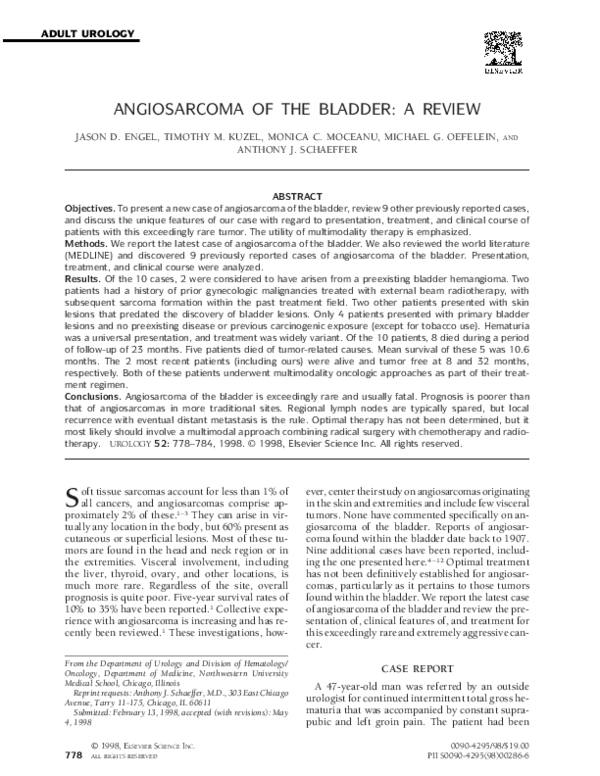 (PDF) Angiosarcoma of the bladder: a review