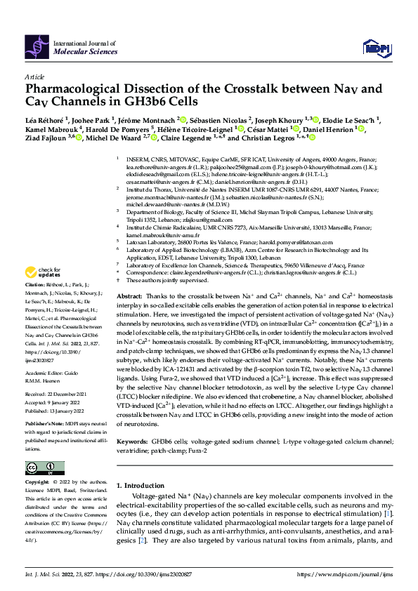(PDF) Pharmacological Dissection of the Crosstalk between NaV and CaV ...