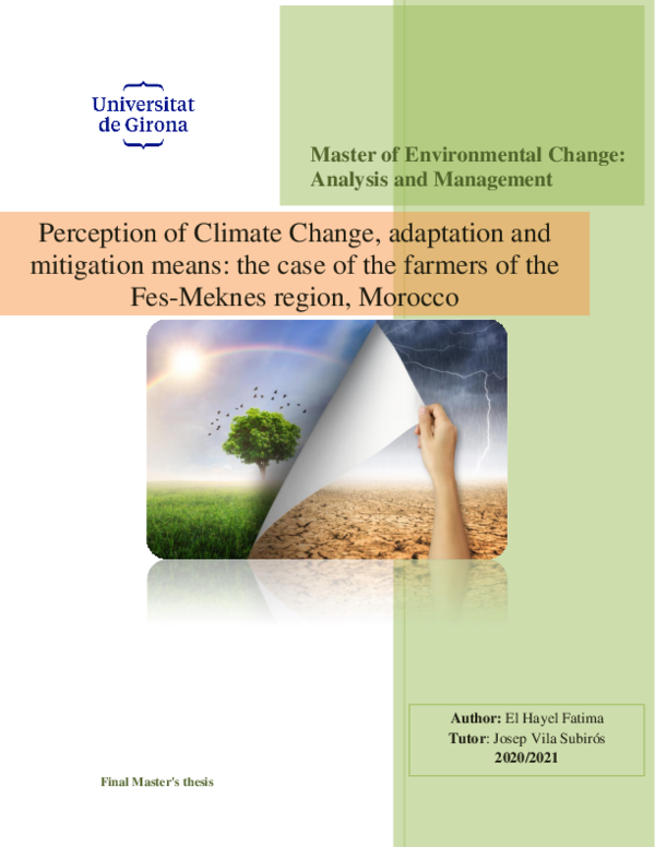 (PDF) Perception of Climate Change